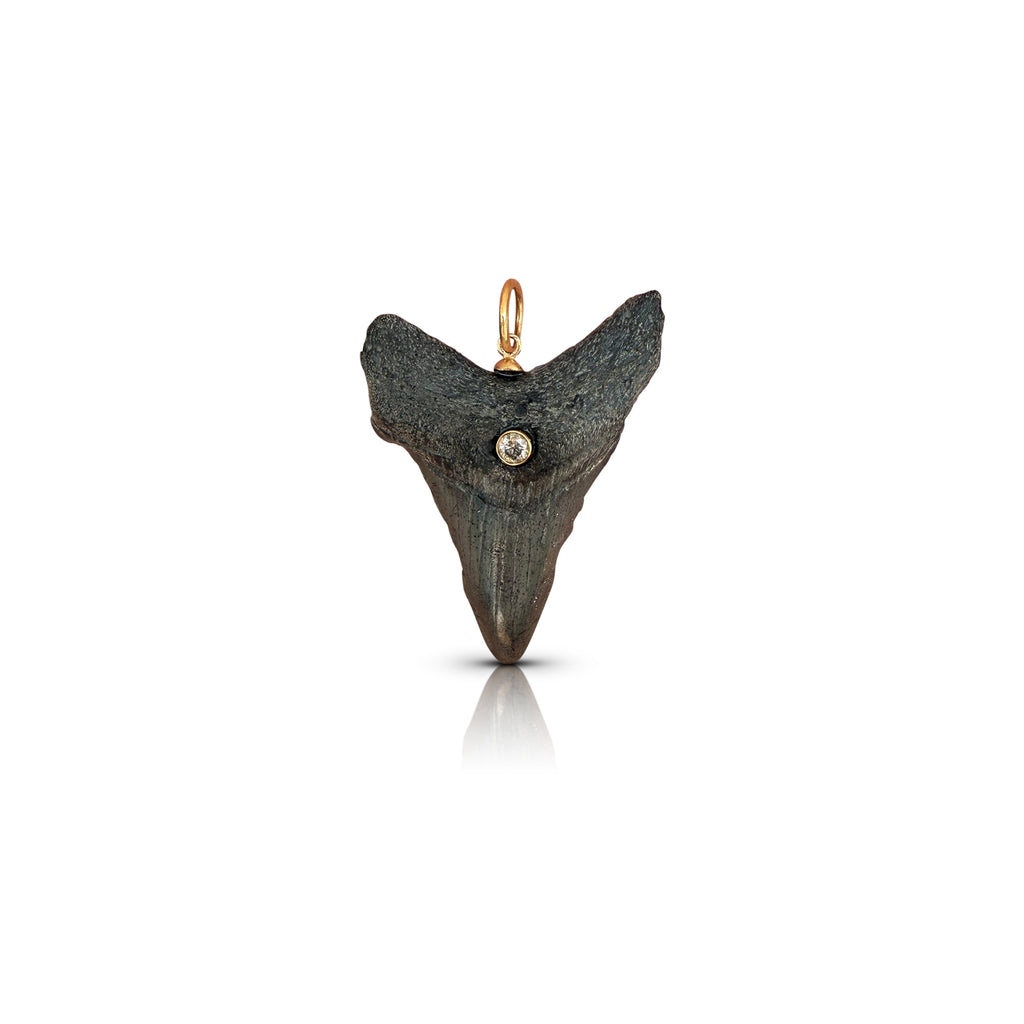 14K Diamond Sharks Tooth Pendant | S. Carter Designs