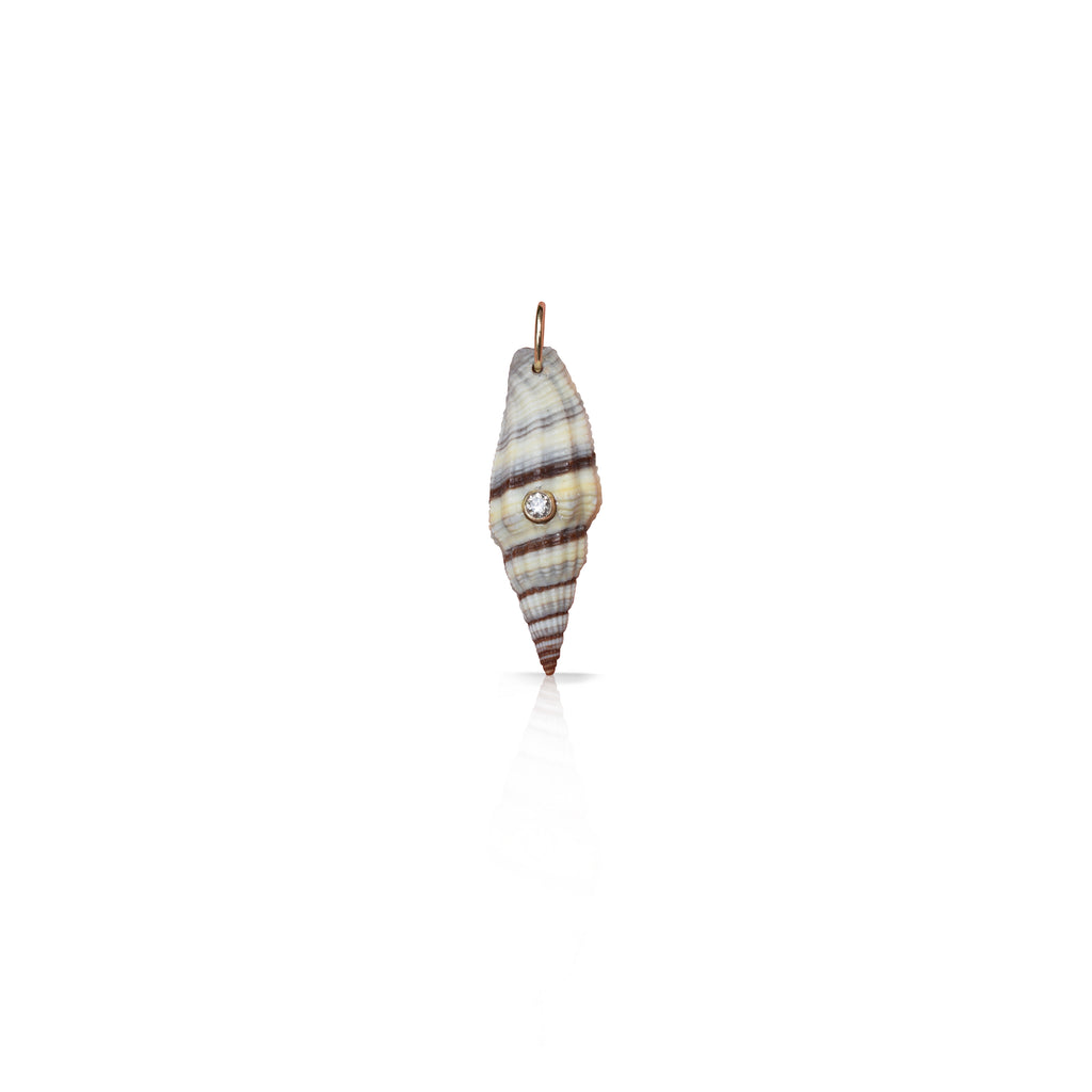 14k Baby Conch Shell Charm – S. Carter Designs