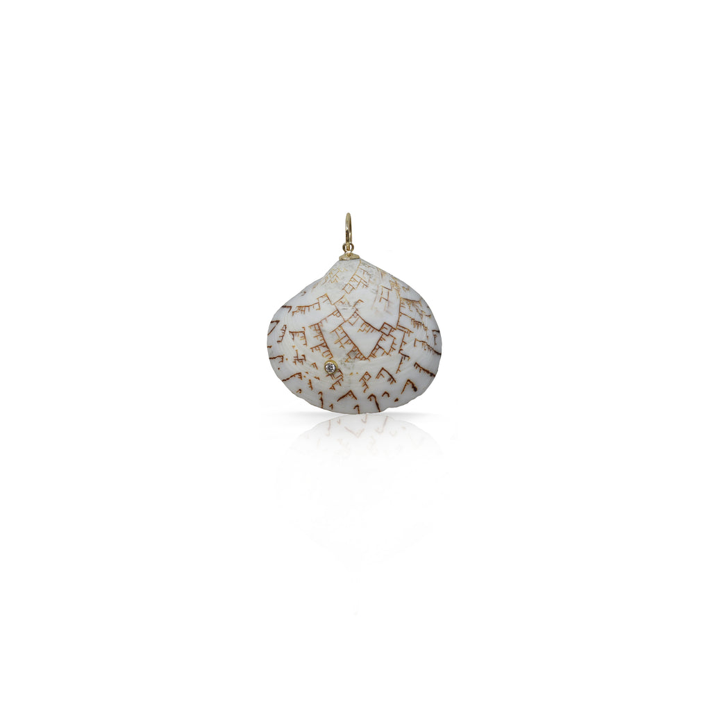 14k Gold Venus Clam Shell Charm with Diamond | S. Carter Designs